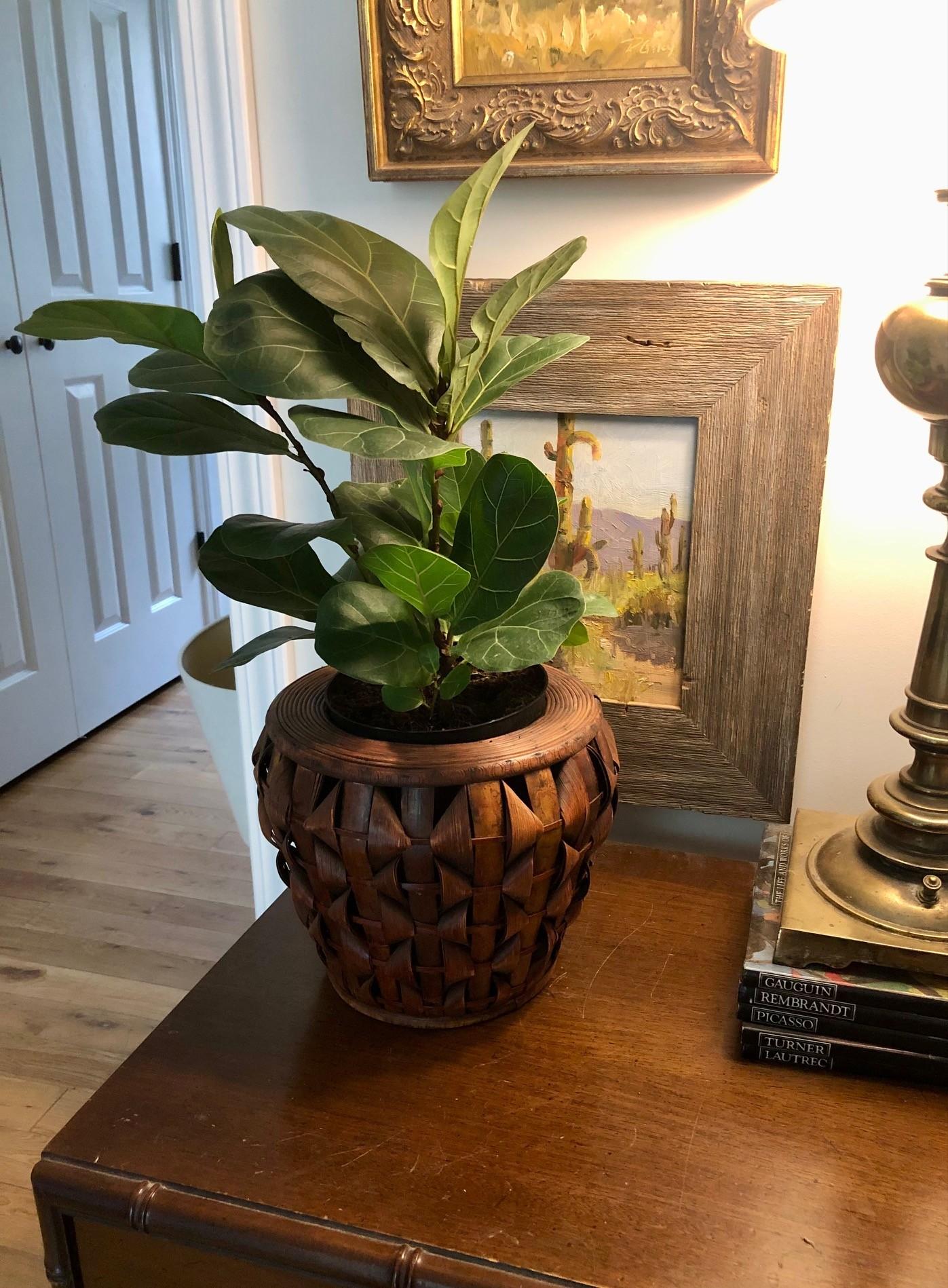 [SOLD] Artistic Japanese Split Woven Rattan Pencil Reed Planter ...