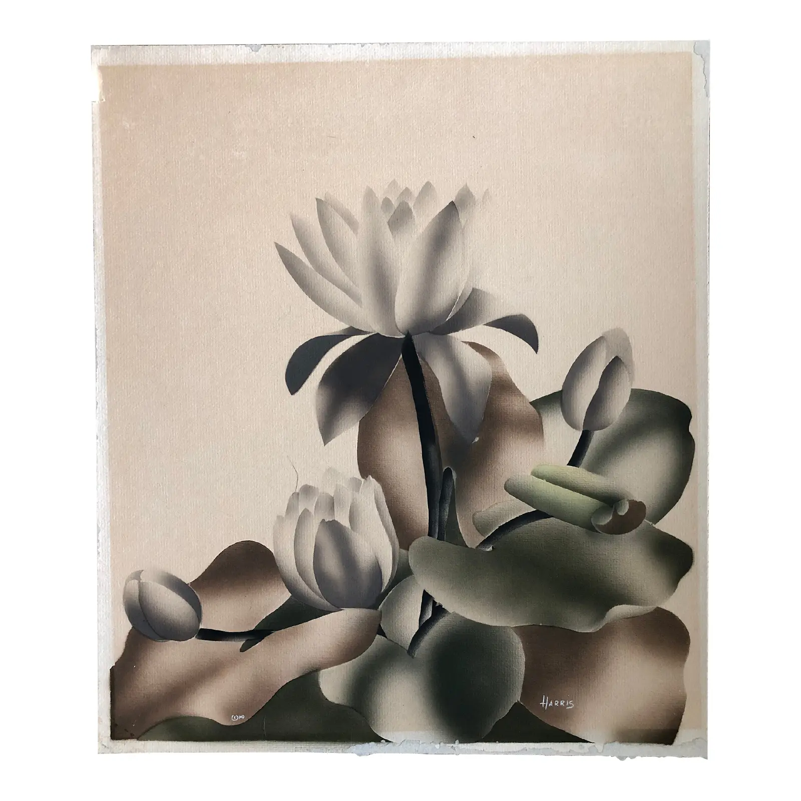 [SOLD] 1940s Benjamin Harris Airbrushed Painting - Water Lily » Tookey ...